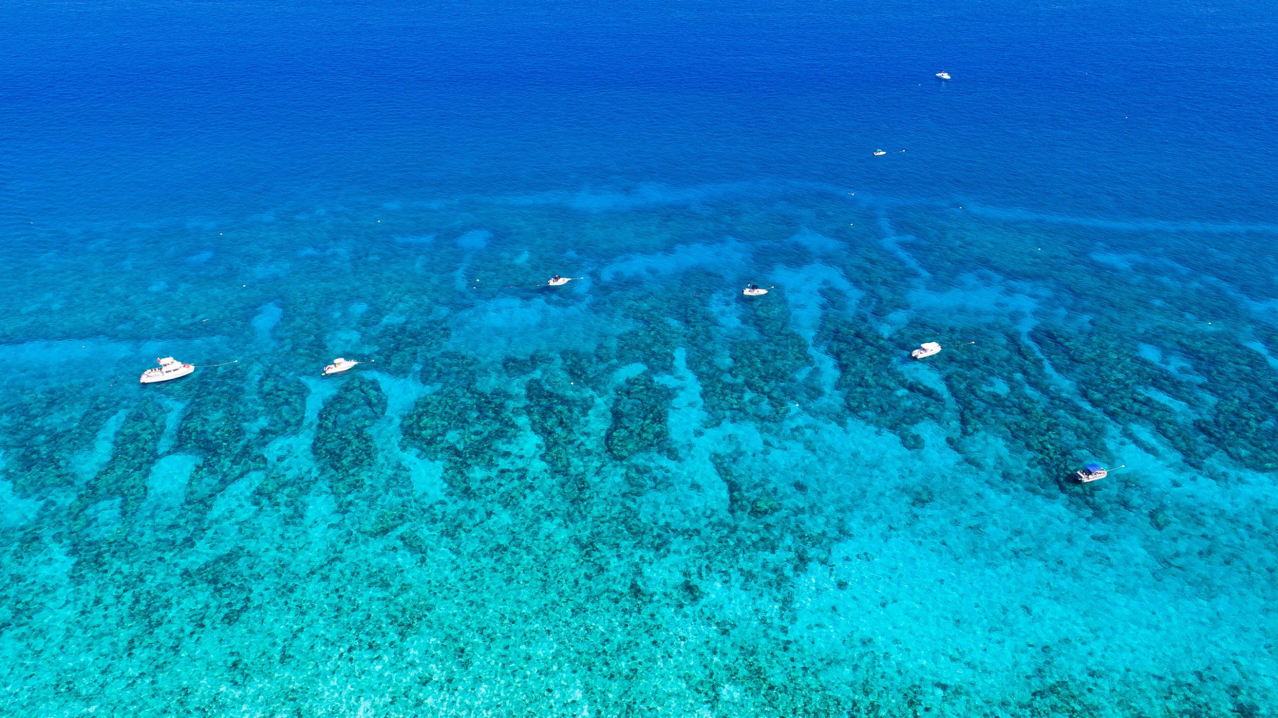 All Snorkel Tours in Key Largo, Florida | Key Largo Snorkel Tours