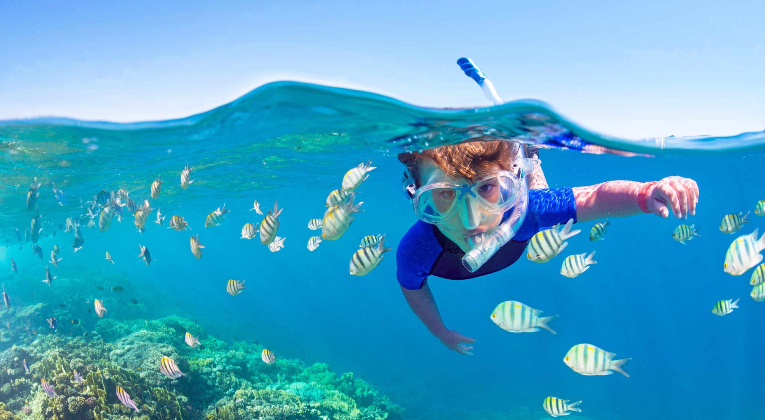 Key Largo Snorkel Tours | Snorkeling in Key Largo, Florida